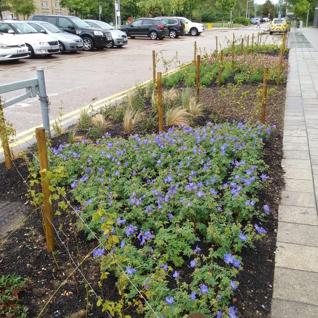 Wilfred Brown Building – Grounds Department Blog Wilfred Brown Building – Grounds Department Blog
